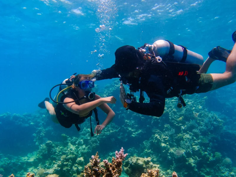 Diving in Red Sea - Expert Guide to Underwater Adventure | Red Sea ...